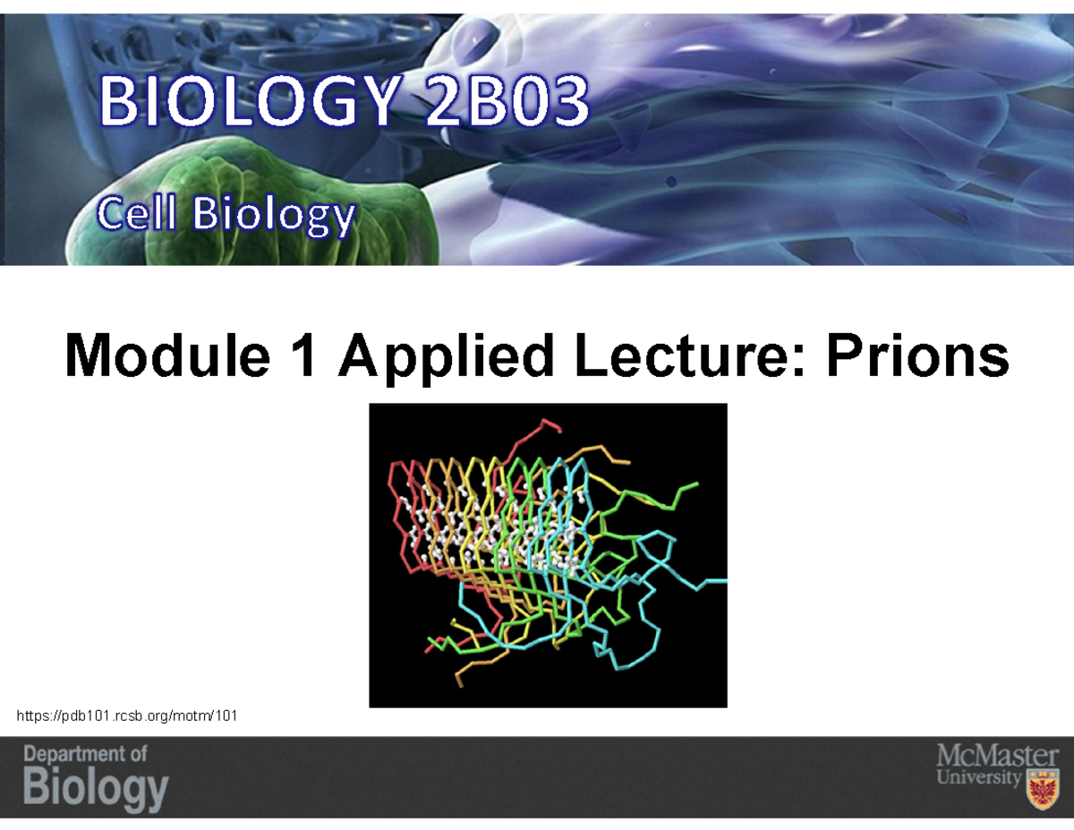 Module 1 - Applied Lecture: Understanding Prions and Protein Structure ...
