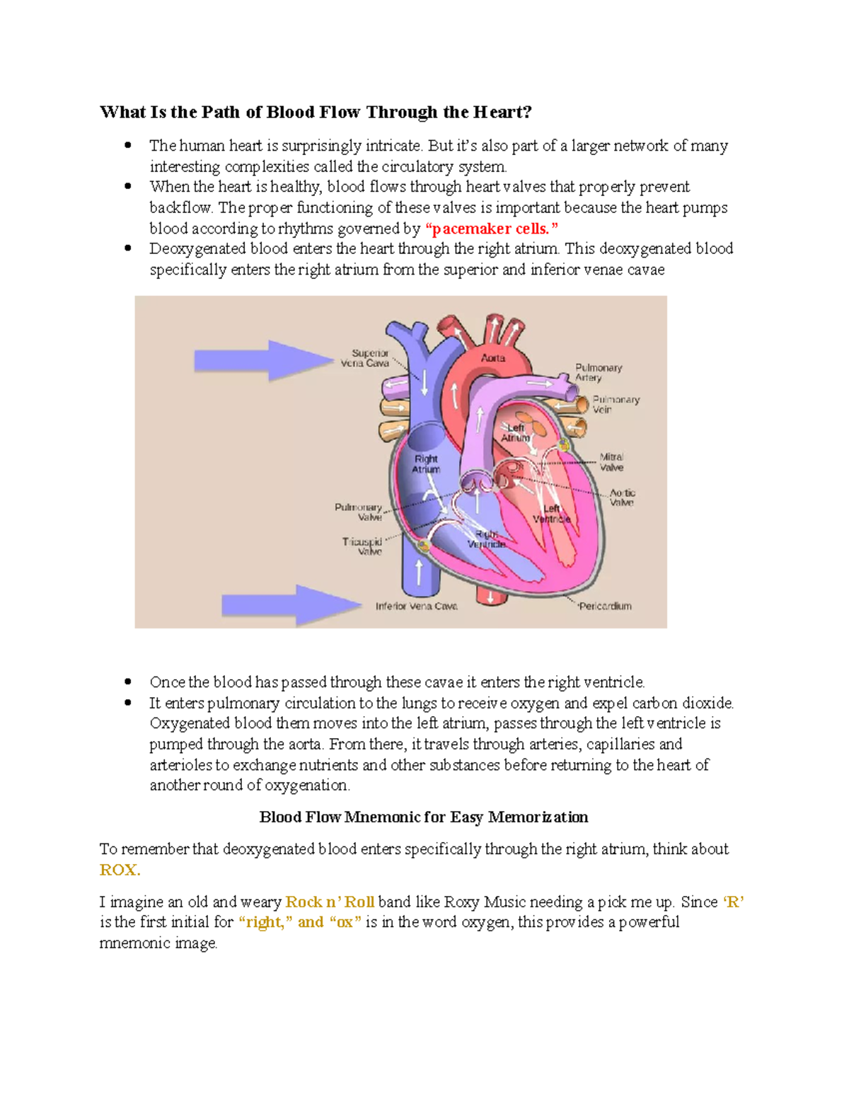 Mnemonics for Heart Blood Flow - Helpful Notes - Studocu