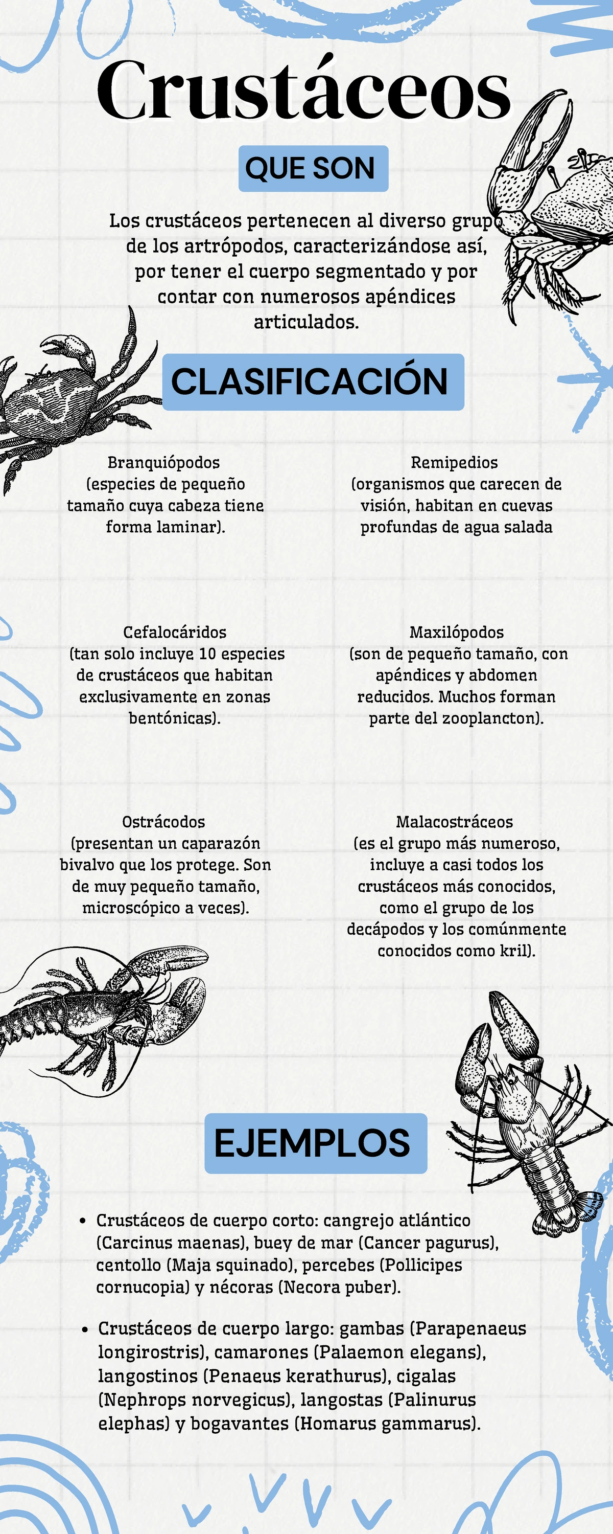 Curado de Pescados: Técnicas y Recetas para su Manejo y Cocción - Studocu