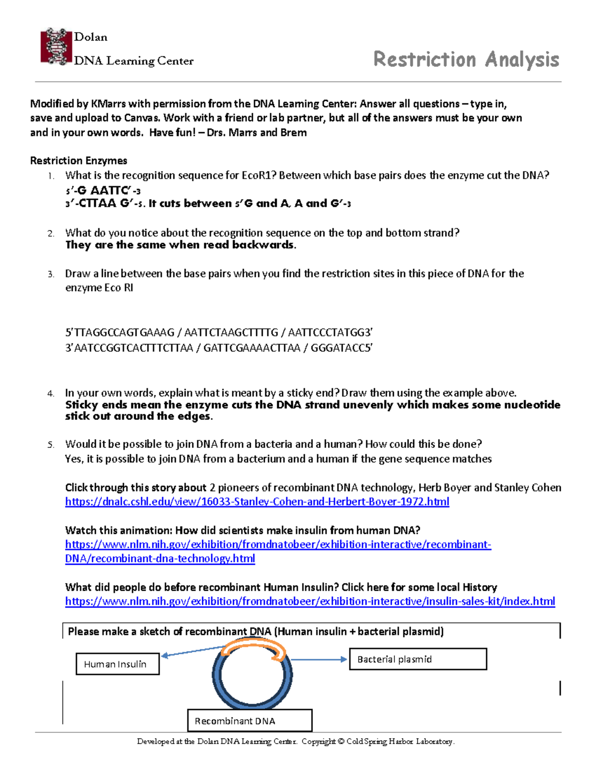 Lab 10: Restriction Enzymes & Electrophoresis Analysis - KM Modified ...