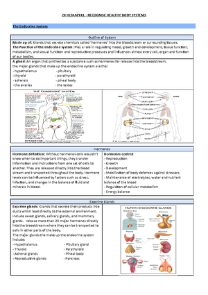 Subjective vs Objective Assessment Findings - Subjective vs. Objective ...
