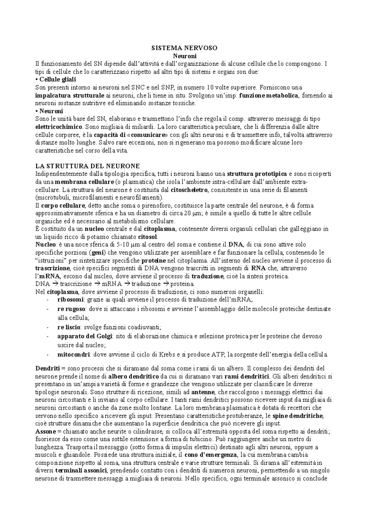 SISTEMA NERVOSO: Funzionamento e Struttura dei Neuroni e Cellule Gliali ...