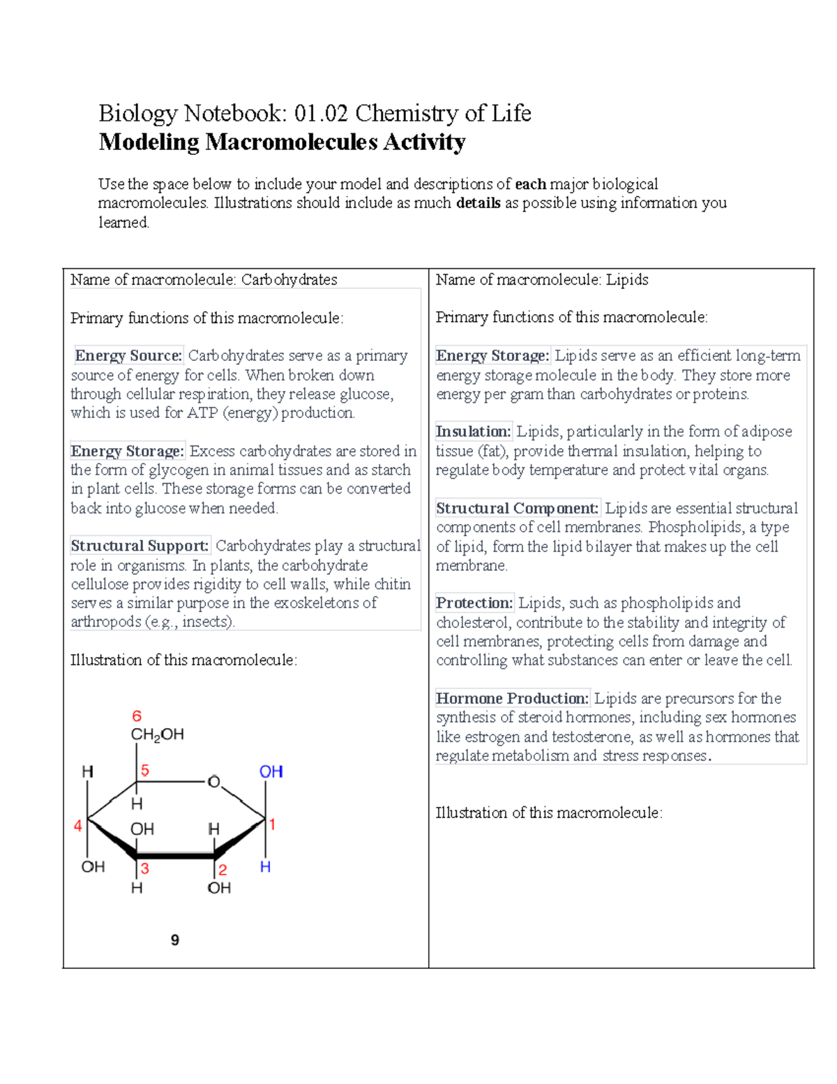 01.02 Chemistry of Life Activity - Biology Notebook: 01 Chemistry of ...