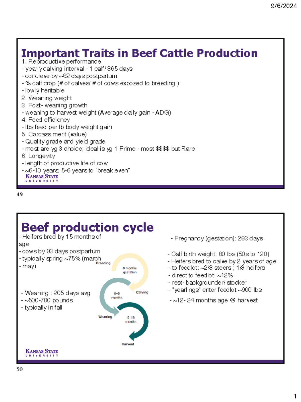 Important Traits and Cycle in Beef Cattle Production (AGRI 101) - ASI ...