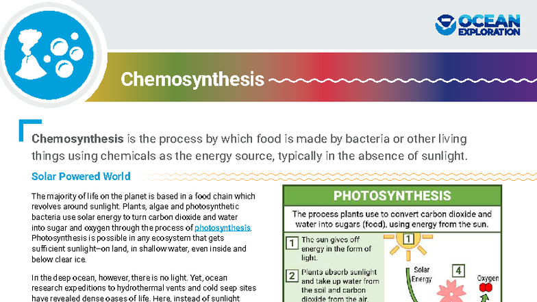 Chemosynthesis: Energy from Chemicals in Deep Ocean Ecosystems - Studocu