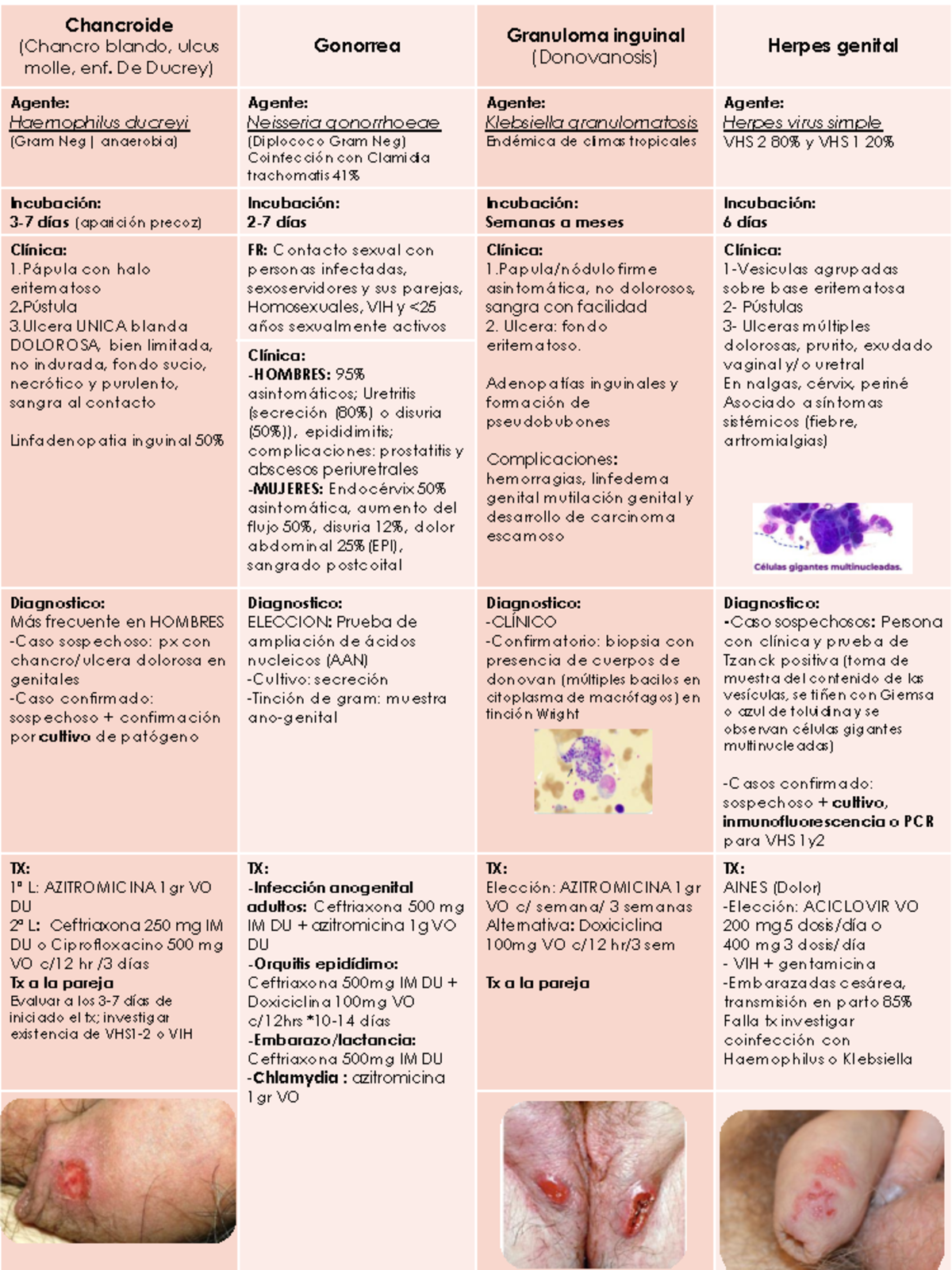 ETS - Resumen sobre Enfermedades de Transmisión Sexual - Studocu
