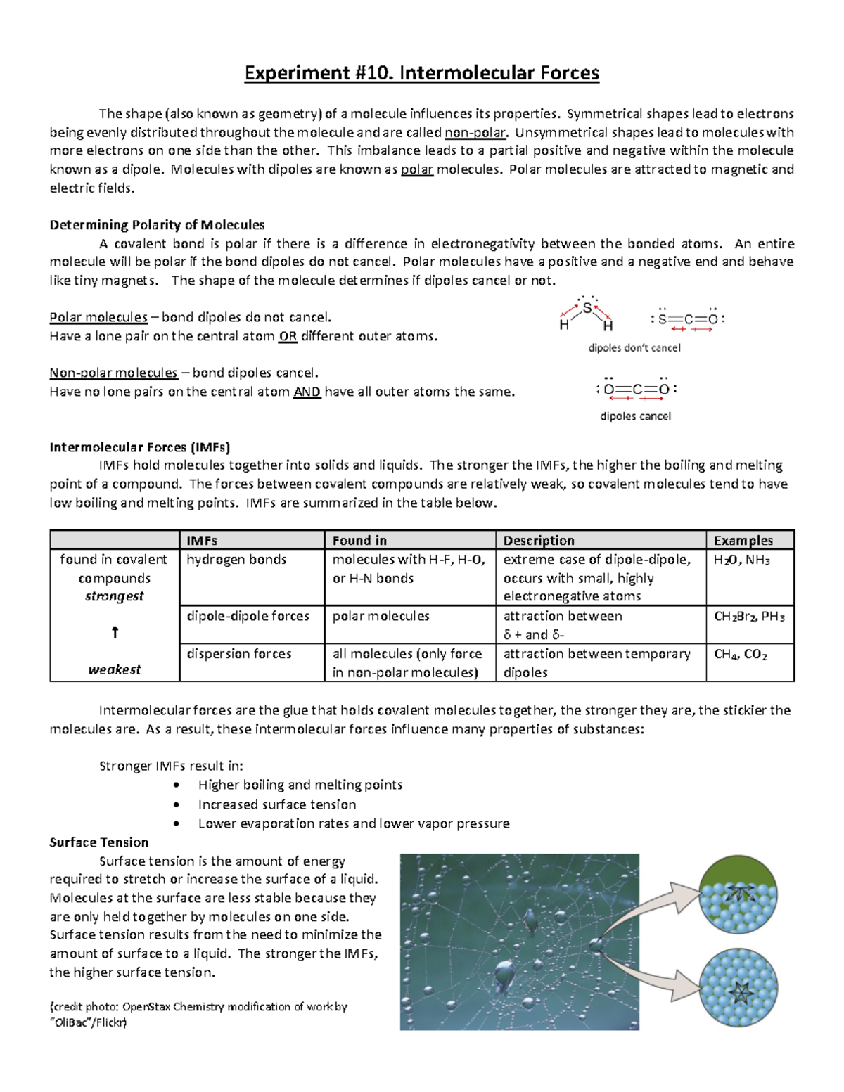 101 - lab report - Experiment #10. Intermolecular Forces The shape ...