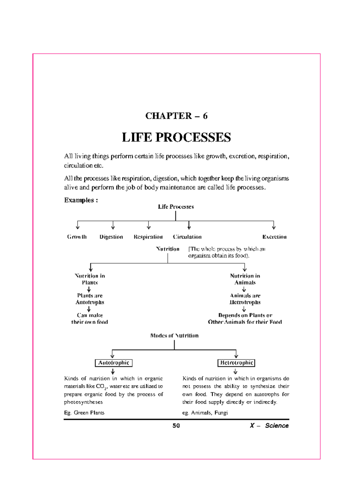 CHAPTER 6: LIFE PROCESSES IN SCIENCE (10 SCIENCE NOTES) - Studocu