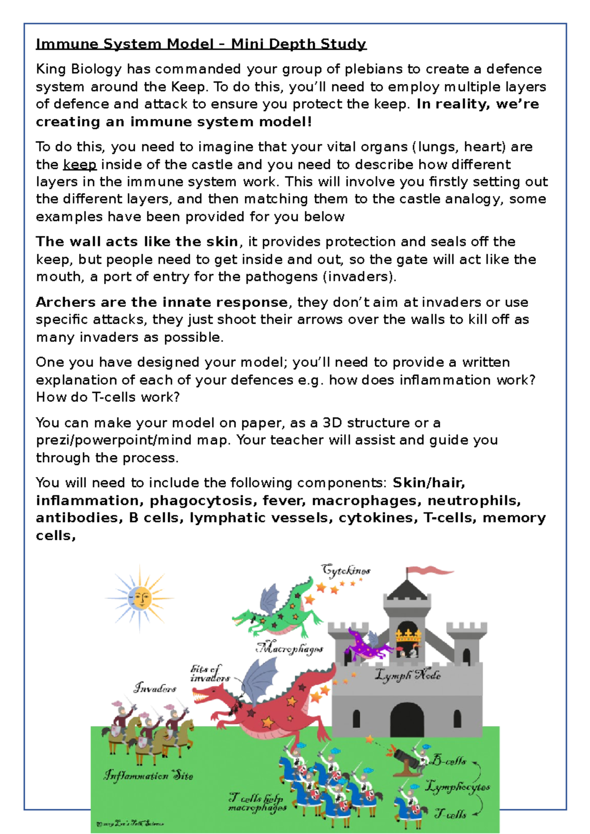 Immune System Model - Mini Depth Study for Biology Class - Studocu