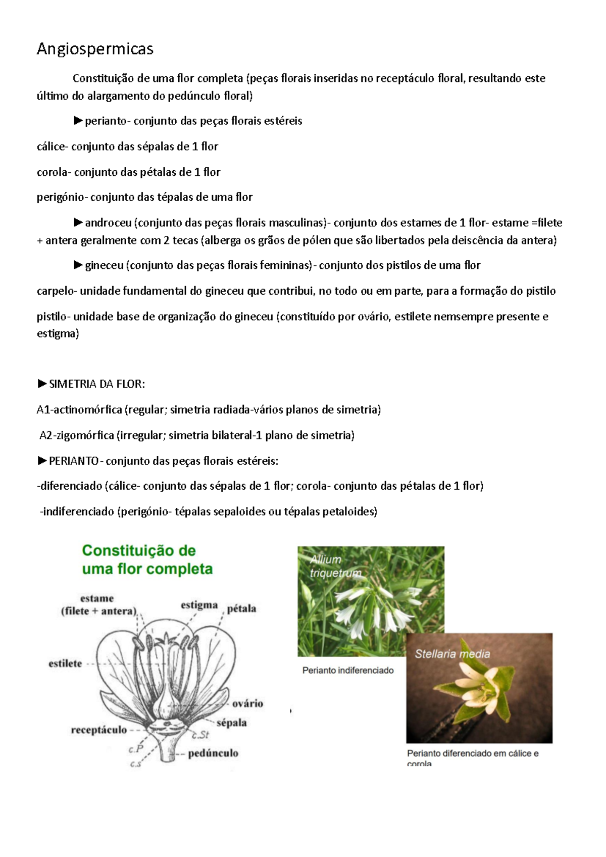 Angiospermicas: Constituição e Estrutura da Flor Completa - Parte 1 ...