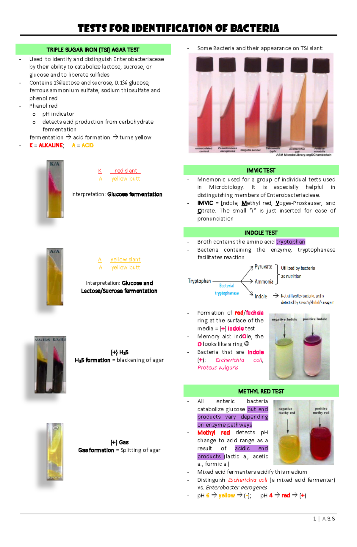 Microbiology Tests for Bacterial Identification: TSI & IMViC (A.S.S ...