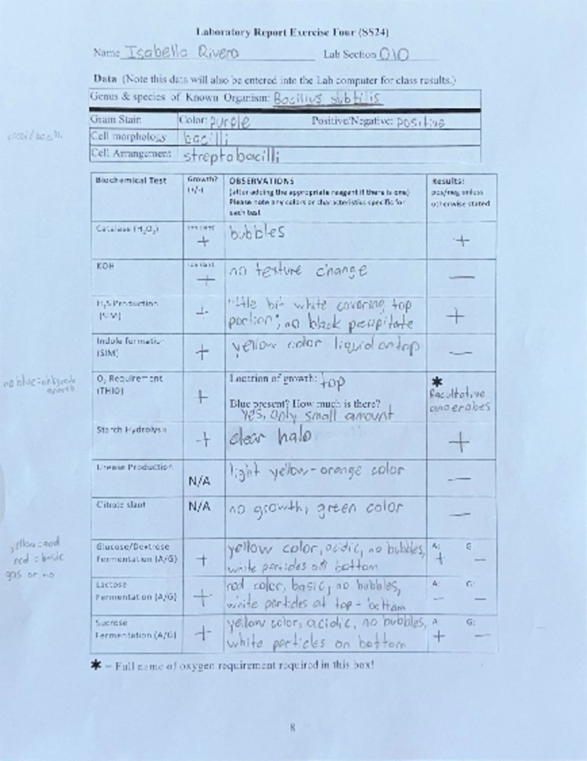 Lab 4 Report - BIOL2031C - Studocu