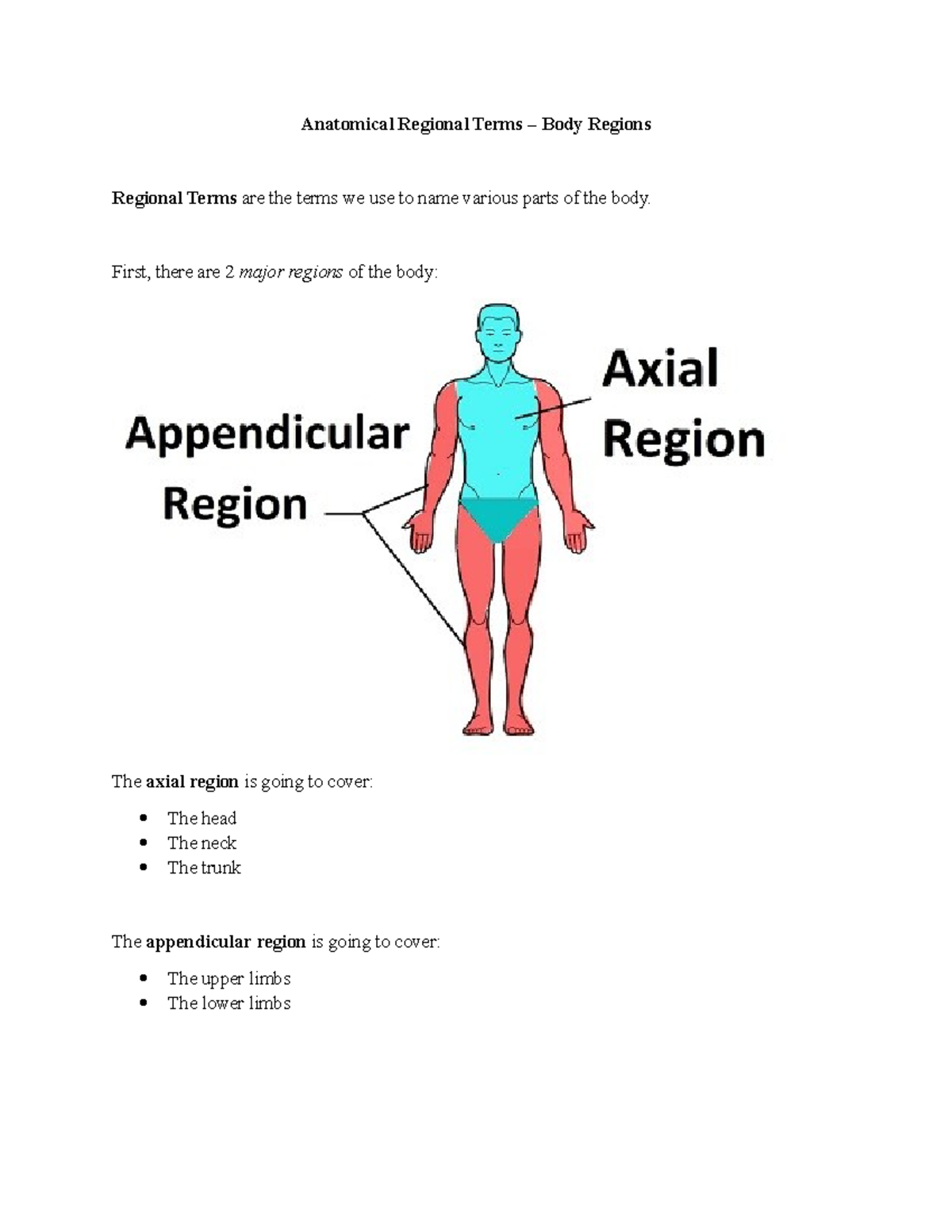 Anatomical Regional Terms: Axial and Appendicular Body Regions - Studocu