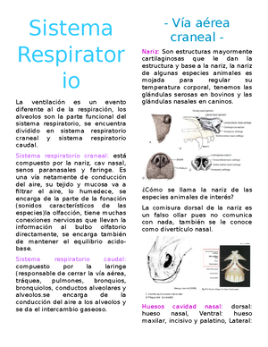 Osteologia General - Resumen Medicina veterinaria y zootecnia - SISTEMA ...