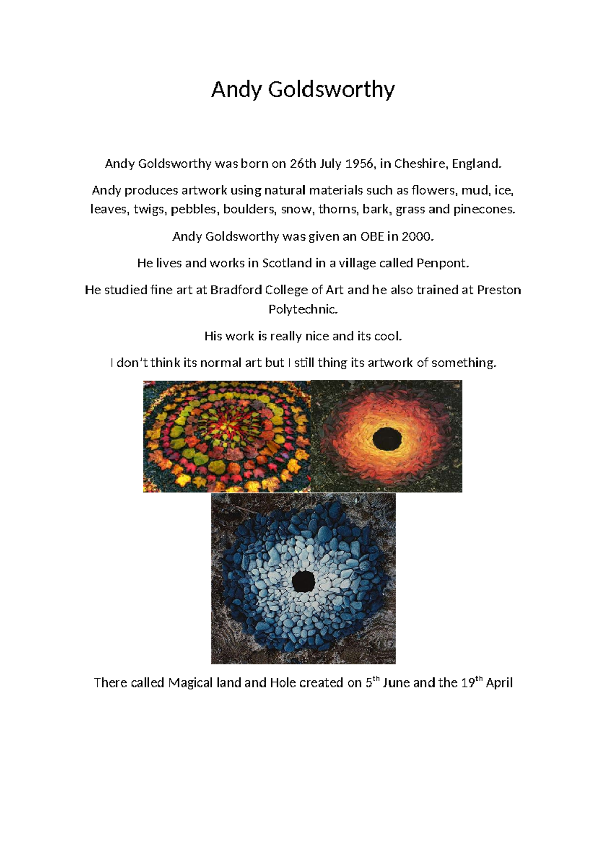 Andy Goldsworthy: An exploration of natural art and its impact - Studocu