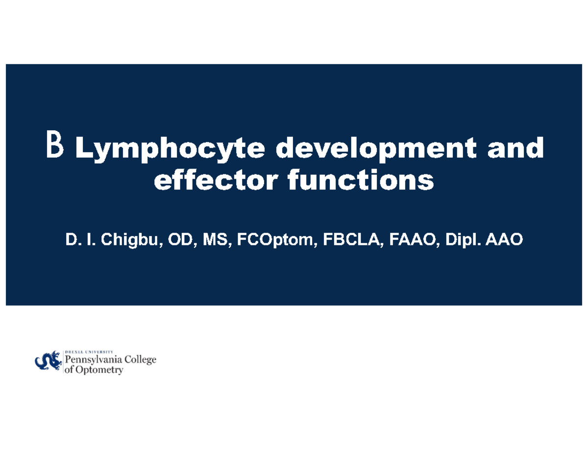 B Lymphocyte Development & Functions in Humoral Immunity - Lecture ...