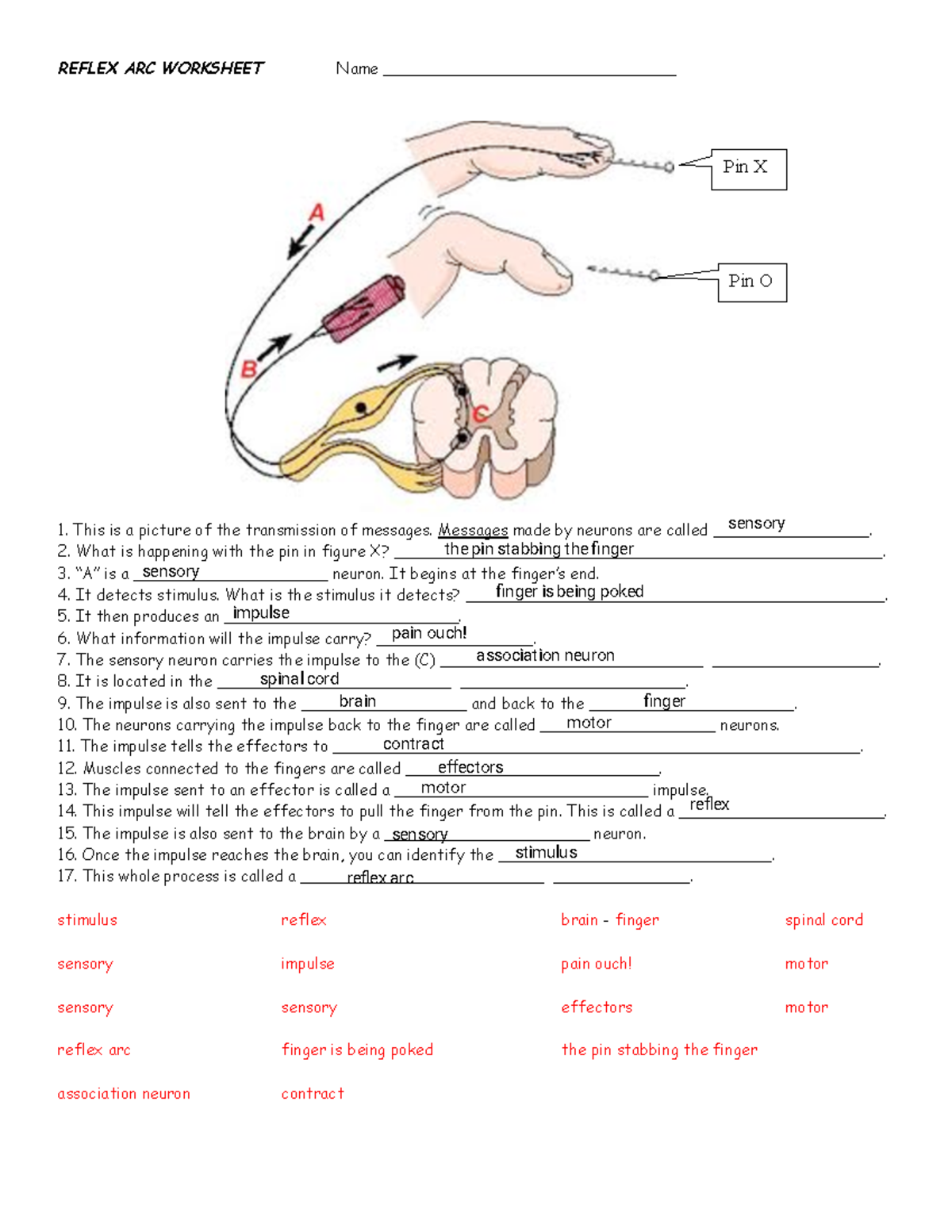 Kami Export - Reflex Arc Pathway Worksheet Analysis - Studocu