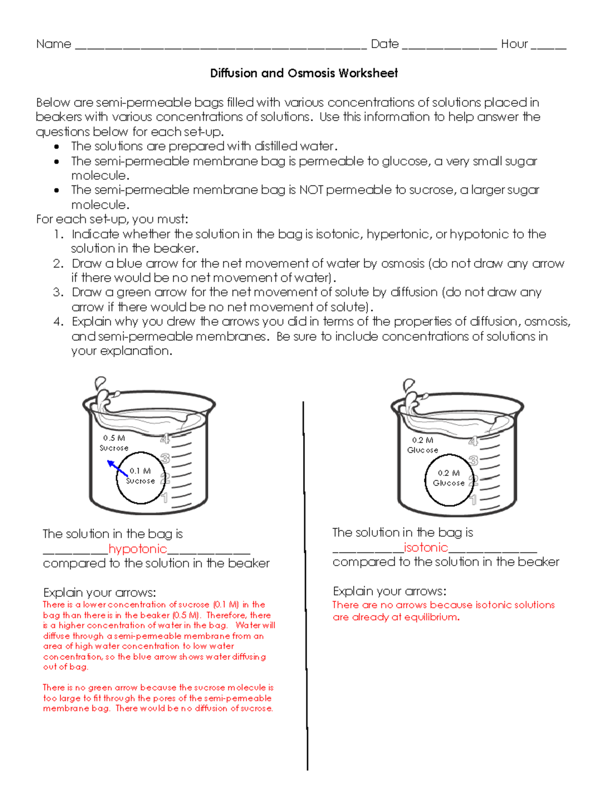 Biology 101: Diffusion and Osmosis Worksheet Analysis - Studocu