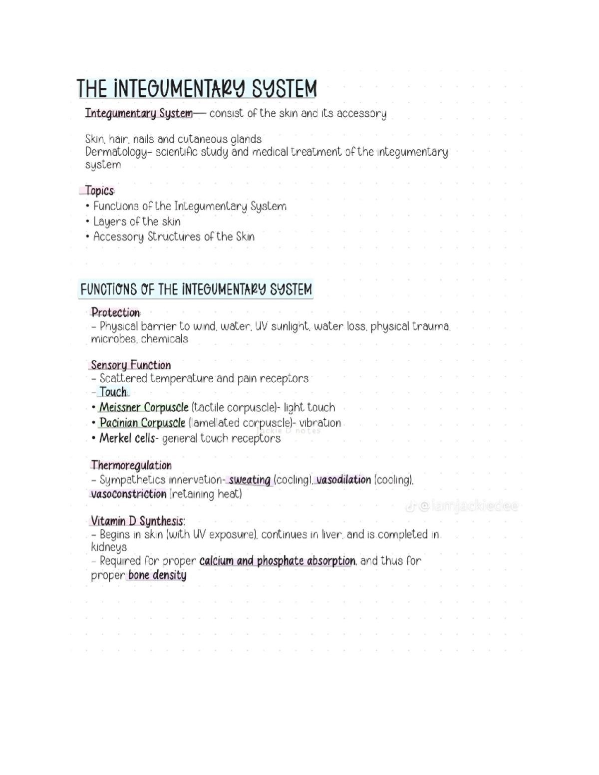 Final Exam Study Guide for ABC123: Integumentary System Overview - Studocu