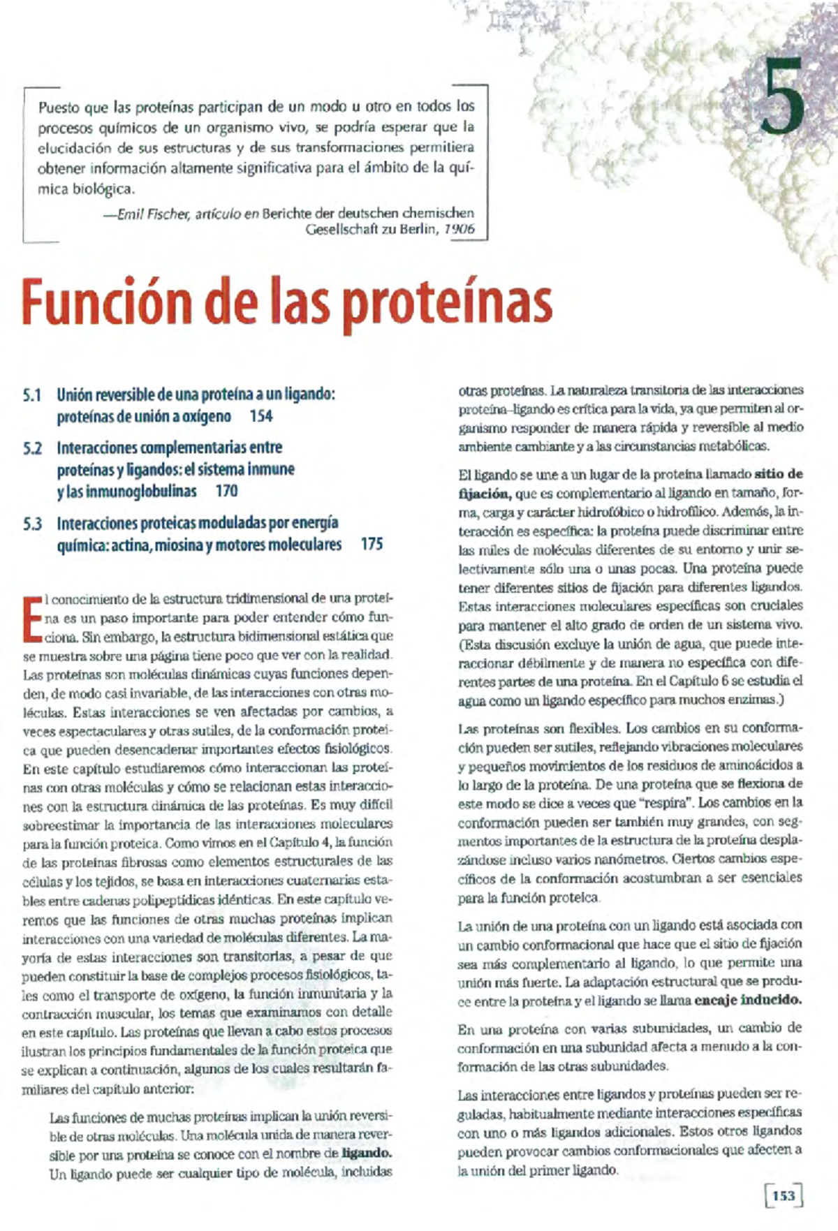 Capítulo 5: Función de las Proteínas y Unión a Ligandos (Bioquímica ...
