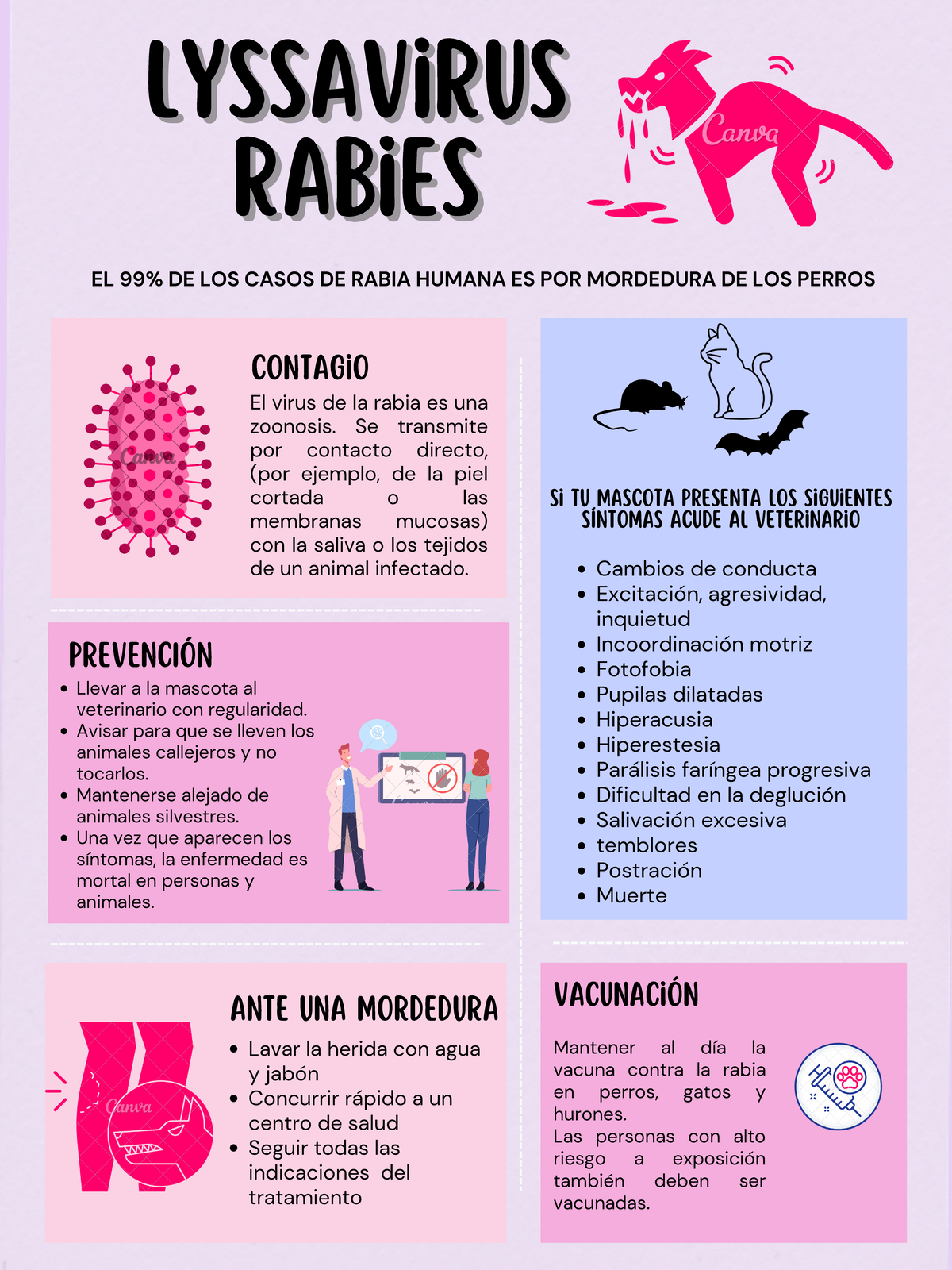Cartel Rabia - Lyssavirus Lyssavirus rabies rabies Contagio Ante una ...