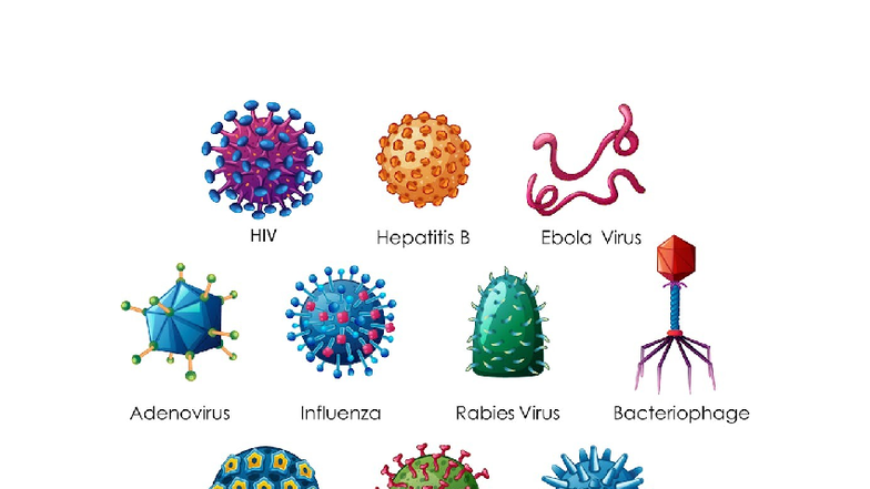 León Ciencias - Resumen - ciencias - HIV Hepatitis B Ebola Virus ...