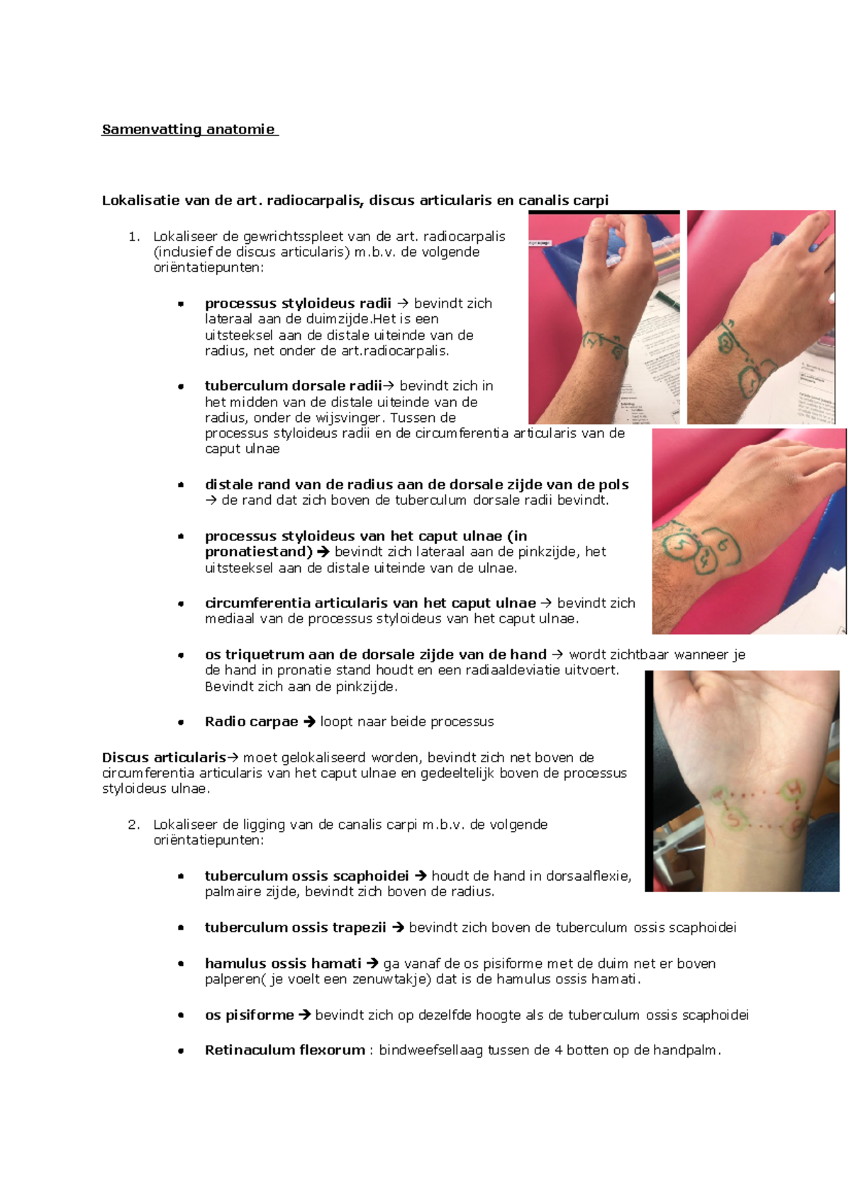 Samenvatting Anatomie: Art. Radiocarpalis & Canalis Carpi Periode 3 ...