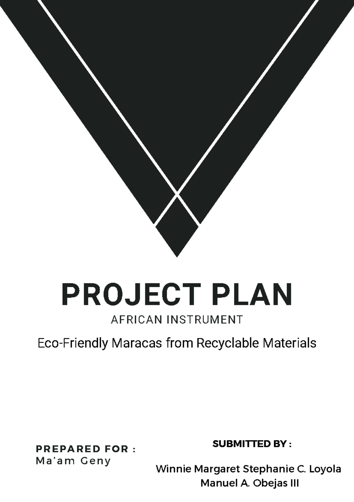 Minimalist Project business plan & Marketing proposal - PROJECT PLAN ...