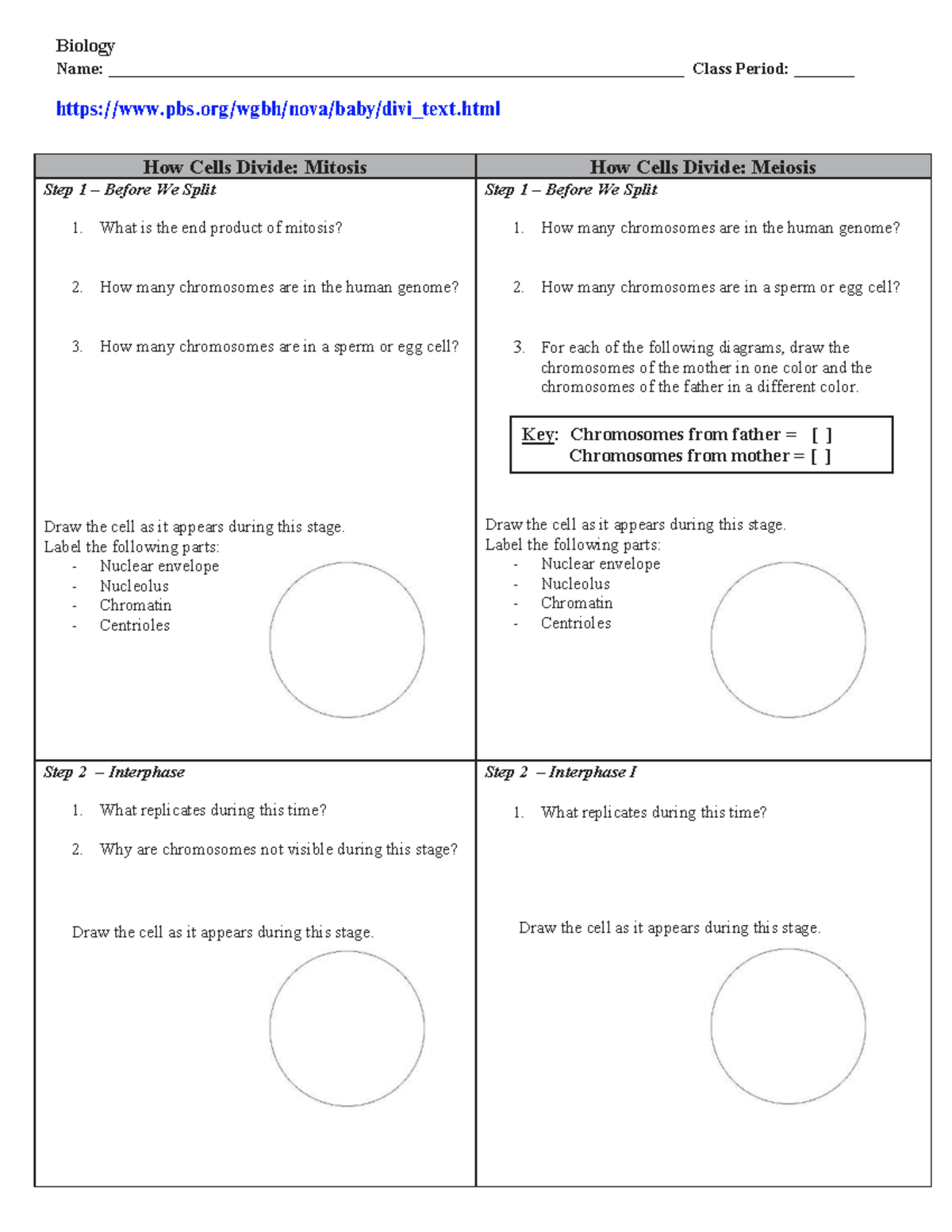 Lab Virtual Meiosis and Mitosis NOVA - Biology Name: - Studocu