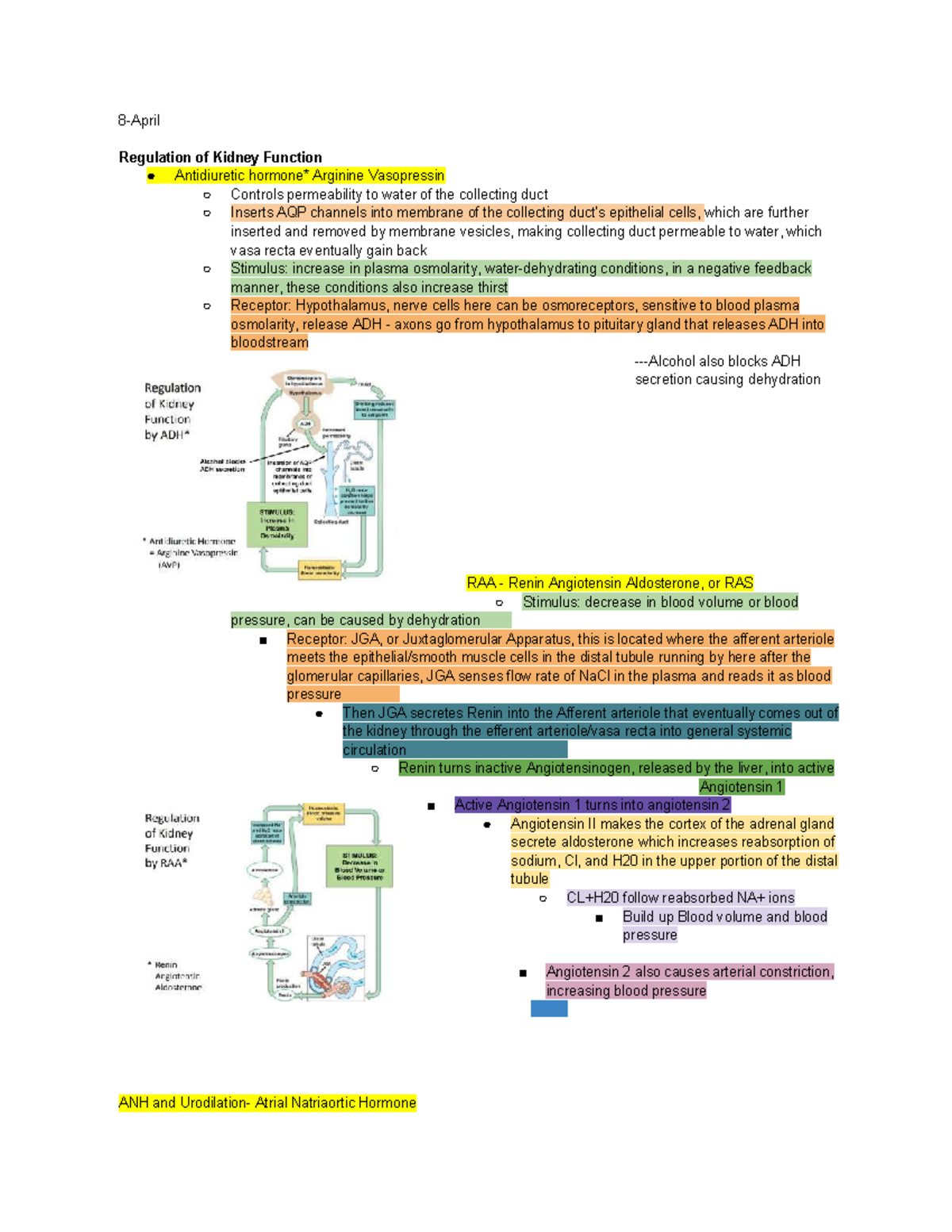 BIO 220 Final - regulation of kidney function and hormonal control ...