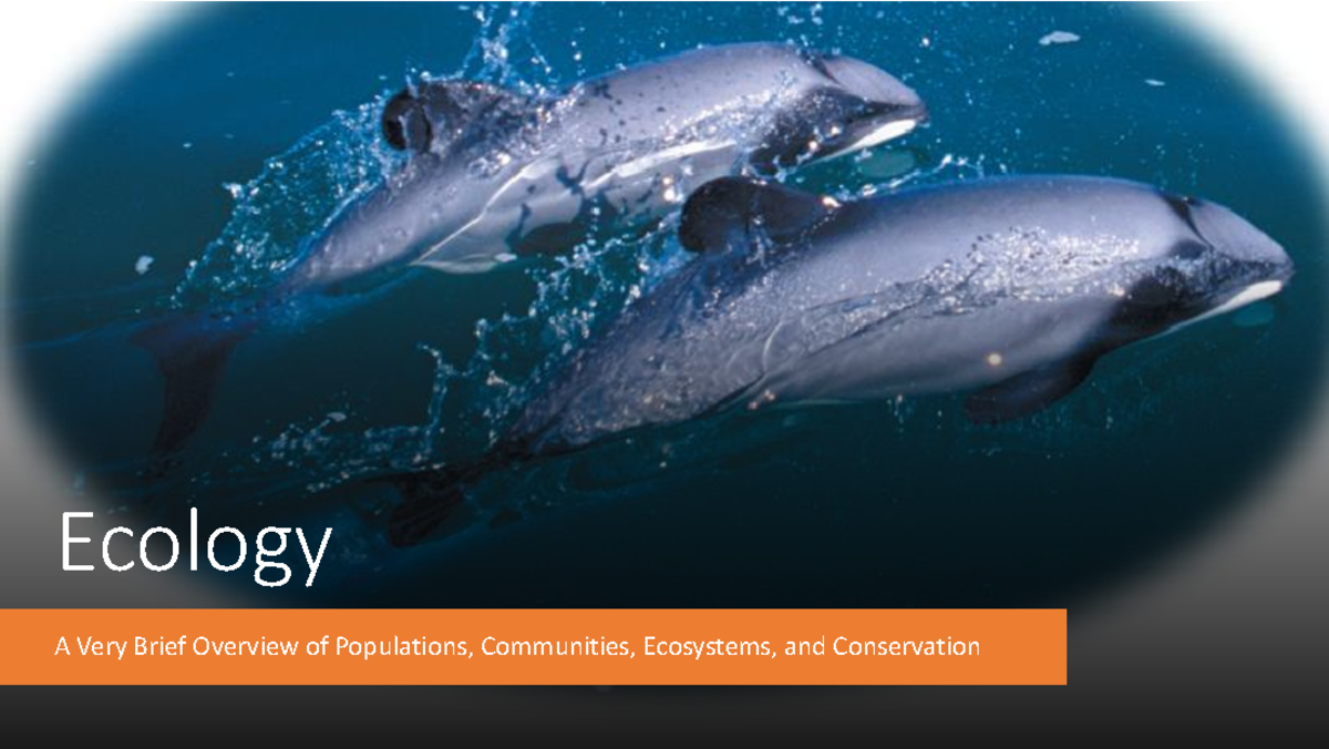 Ecology Overview: Populations, Communities & Ecosystems Insights - Studocu