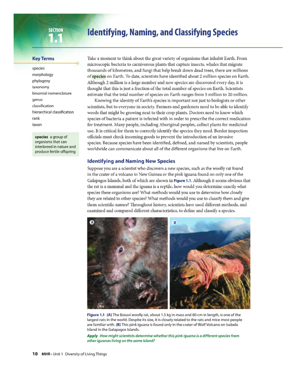 Chapter 1.1: Identifying and Classifying Species - Key Terms & Concepts ...