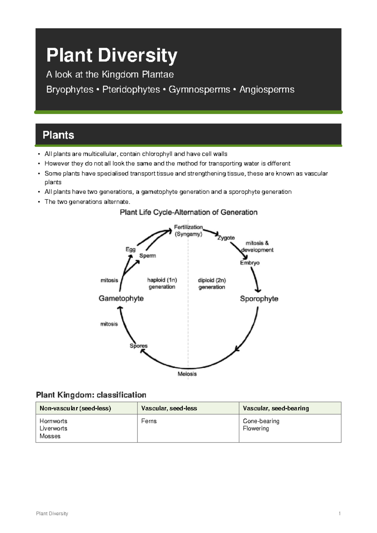 Plant Diversity Notes: Exploring Bryophytes, Pteridophytes, and ...