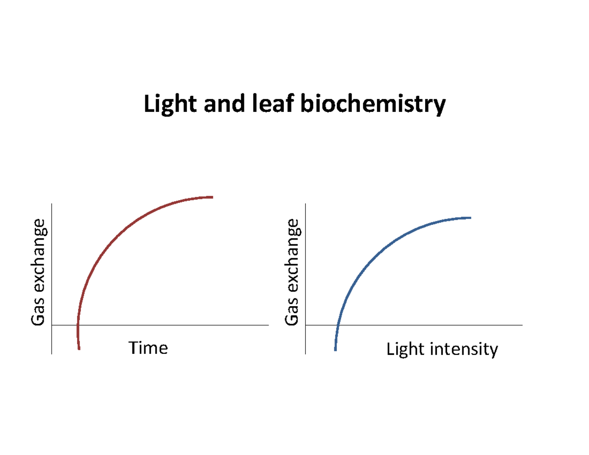 Lecture on Light and Leaf Biochemistry - Studocu