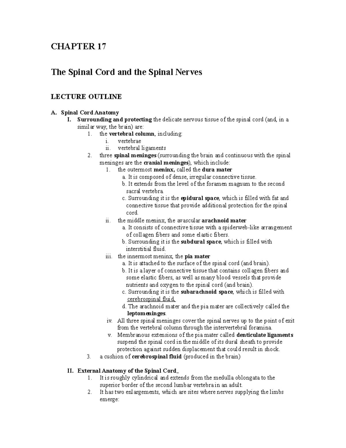 Chapter 17: Spinal Cord Anatomy & Nerves Overview - Studocu