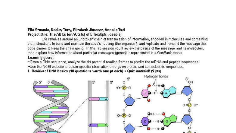 Genetics Lab Project One: The ABCs of Life and DNA Basics - Studocu