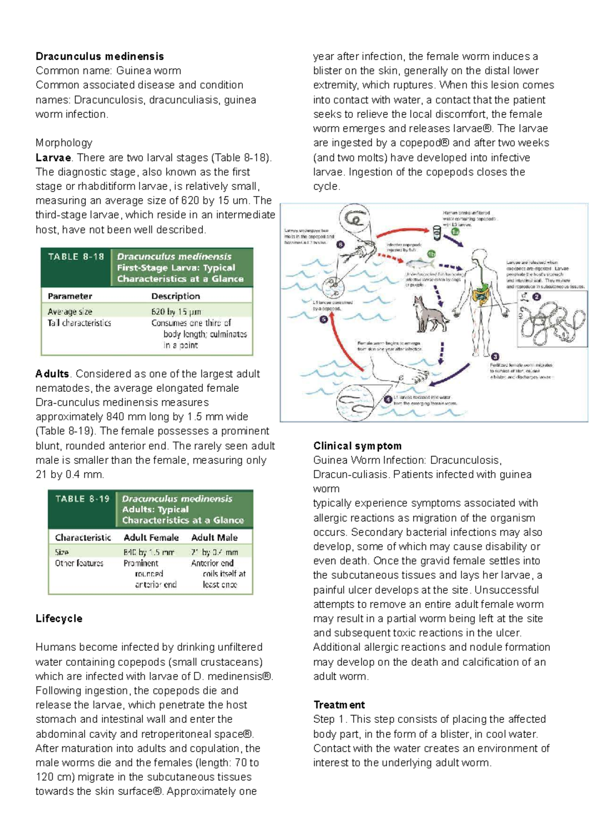 Dracunculus medinensis: Guinea Worm Infection Overview and Lifecycle ...