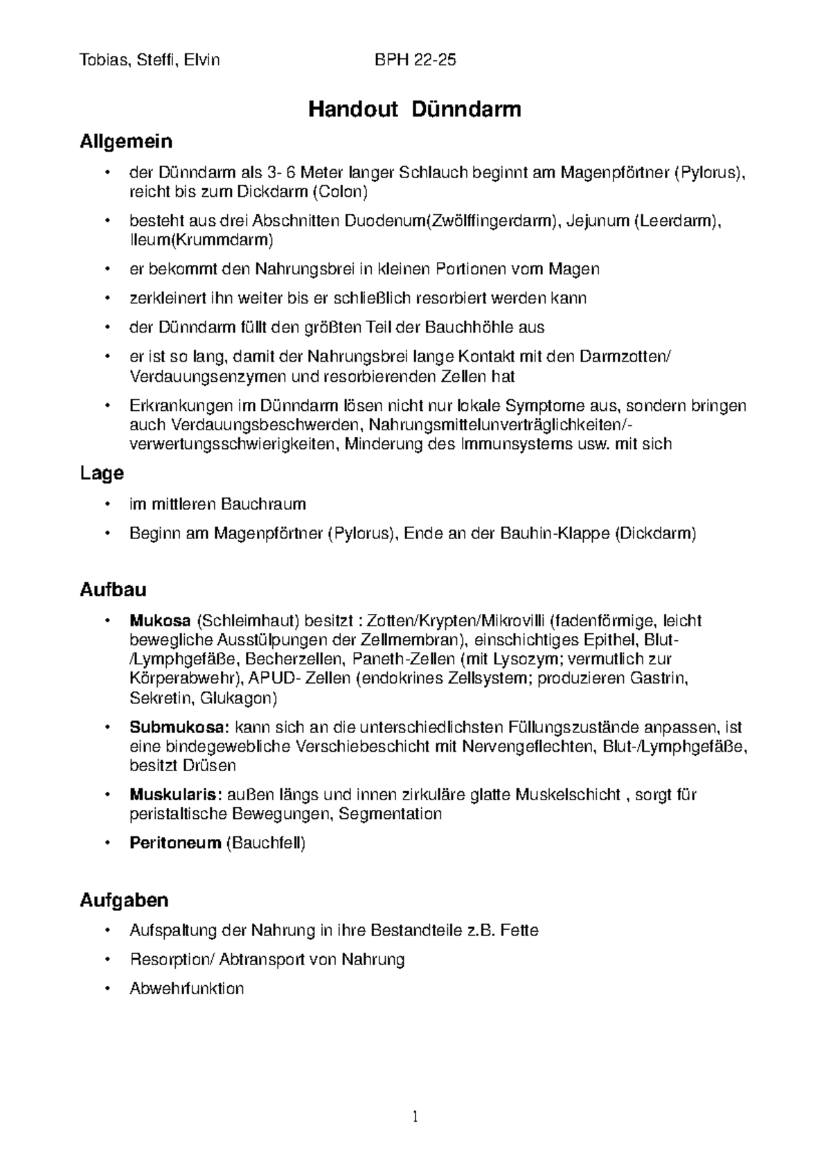 BPH Handout: Anatomie des Darms - Dünndarm, Dickdarm, Mastdarm, After ...