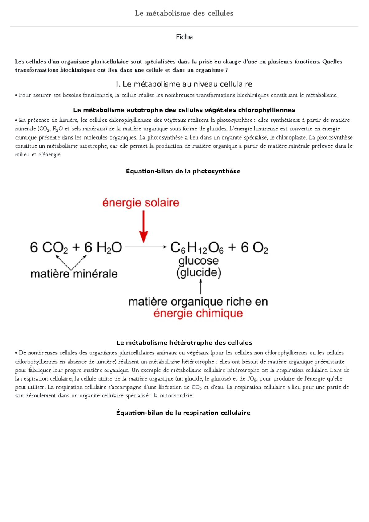 2nde svt le metabolisme des cellules - Le métabolisme des cellules ...