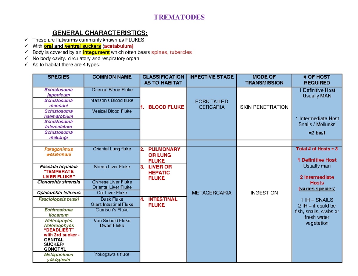 Trematodes (Flukes) Study Notes: General Characteristics & Species ...