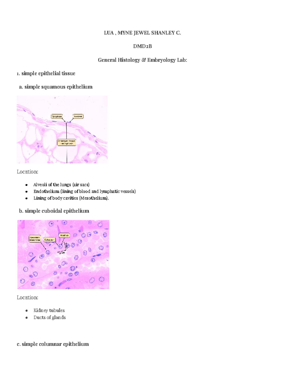 DMD2B General Histology & Embryology Lab: Epithelial & Connective ...