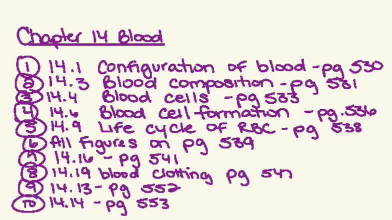 Lecture 2 Study Guide: Blood & Cardiovascular System Overview - Studocu