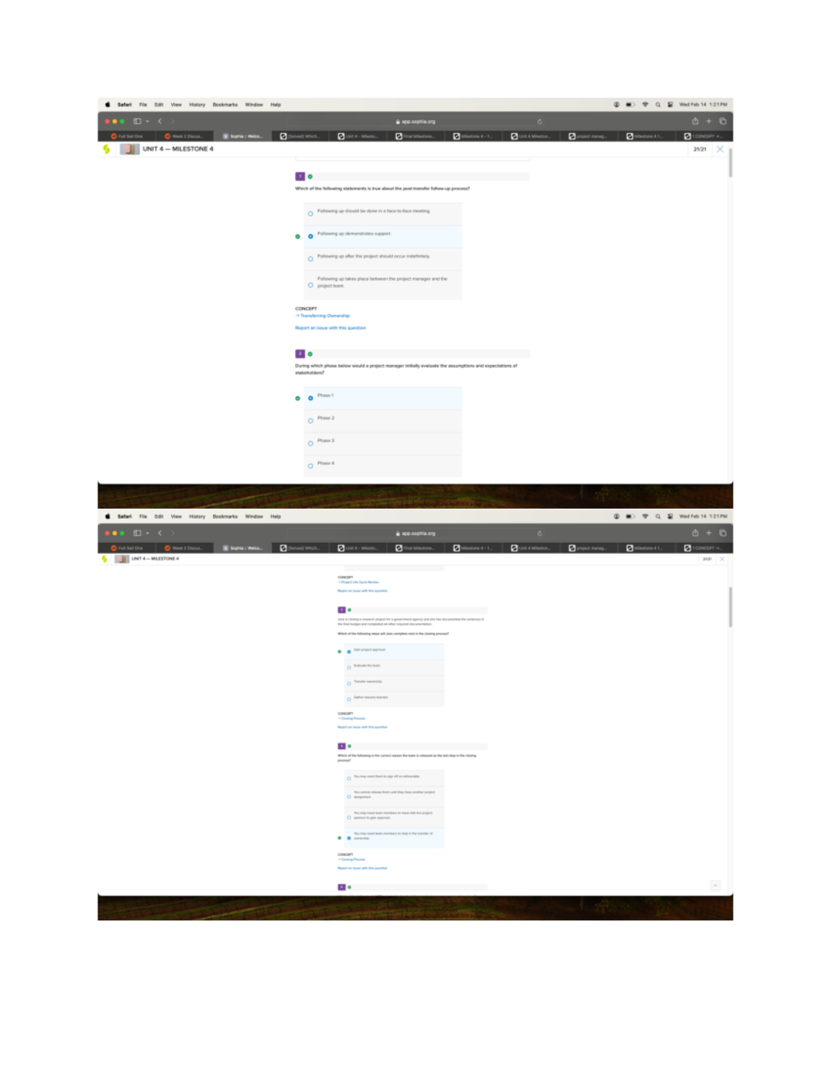 Sophia Answers: Milestone 4 - Complete Student Guide - Studocu