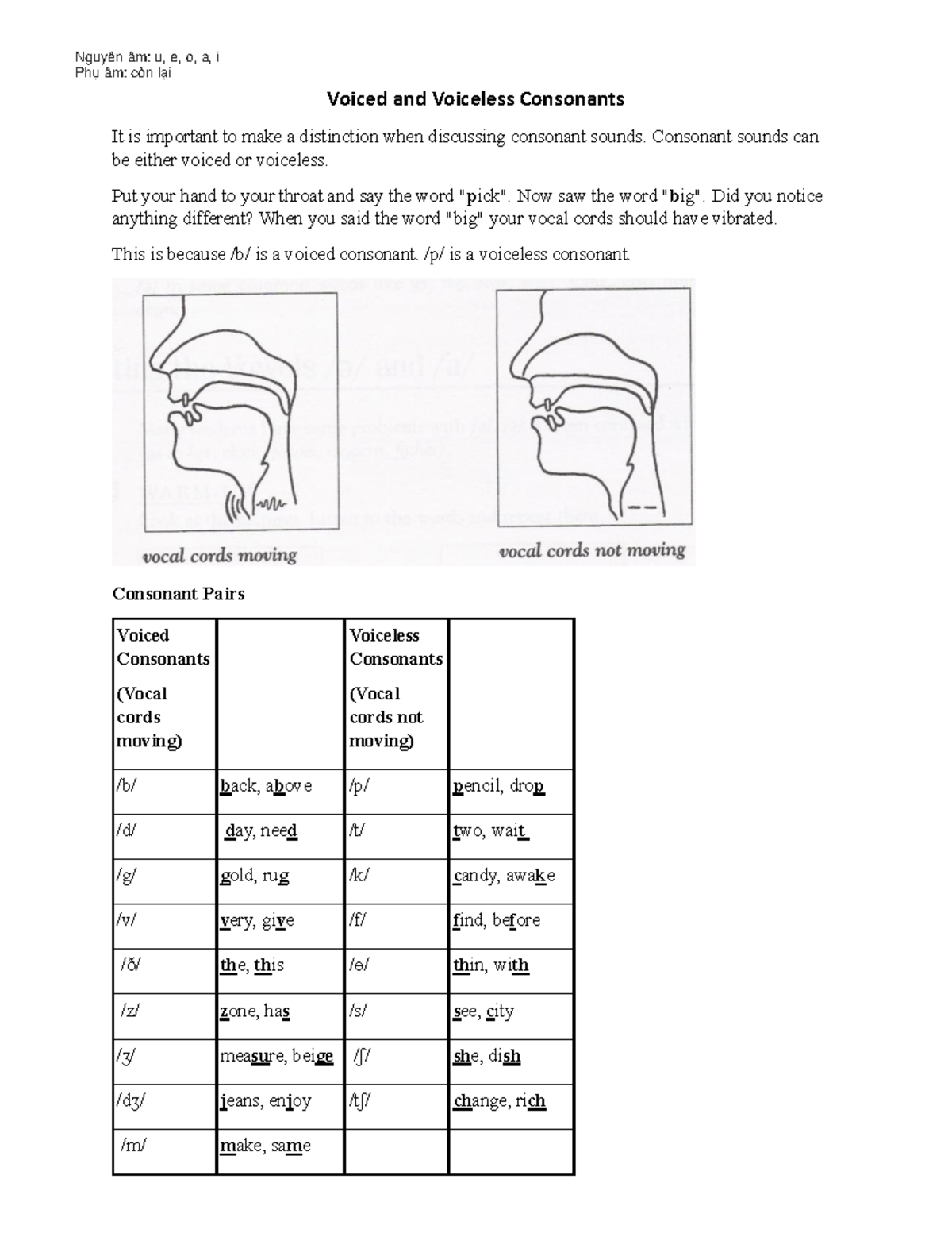 Final Exam: Voiced and Voiceless Consonants (ENG 101) - Studocu