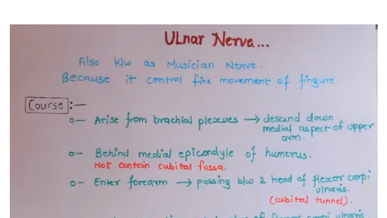 Ulnar Nerve Anatomy & Function: Course and Branches Notes - Studocu