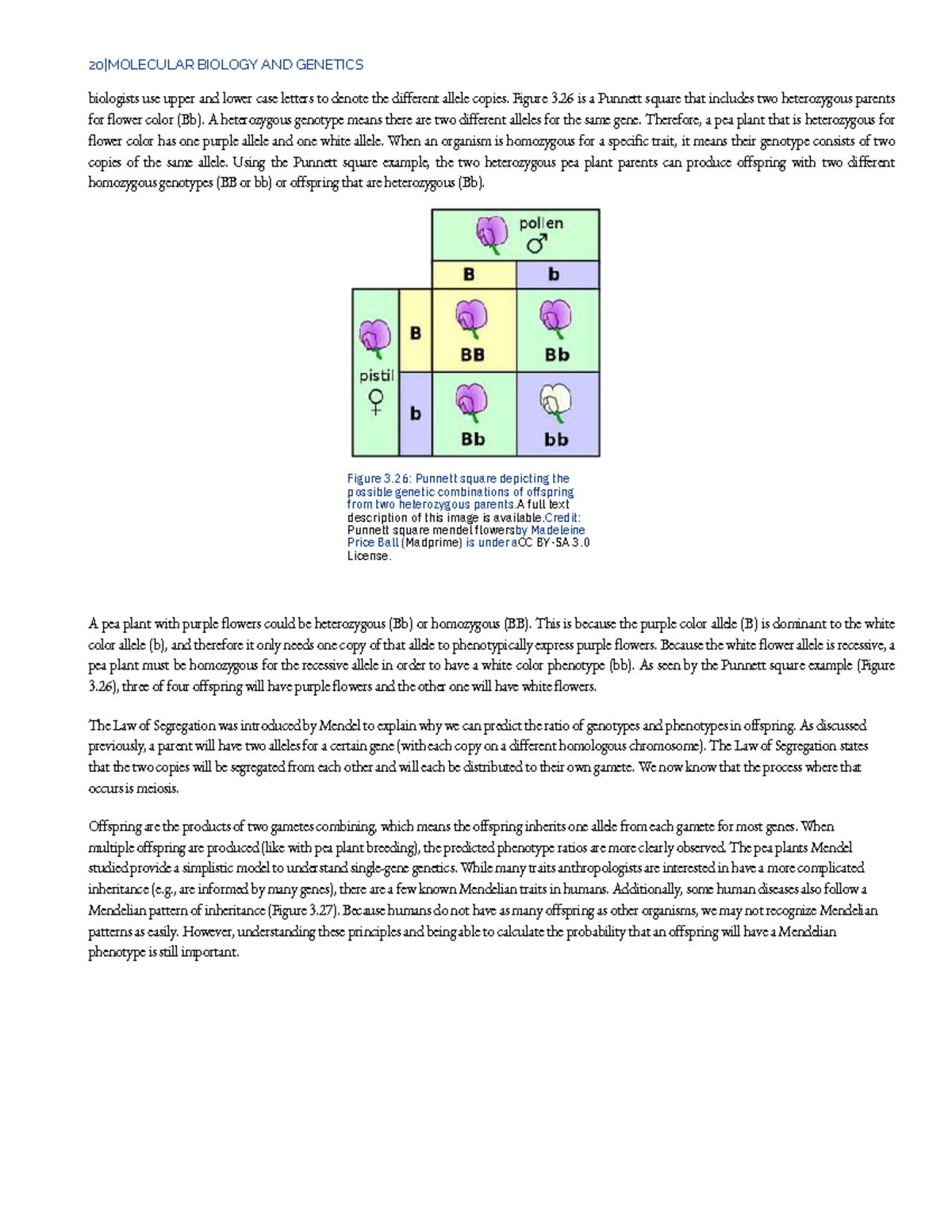 Genomics and Epigenetics: Mendelian Inheritance Patterns in Biology ...