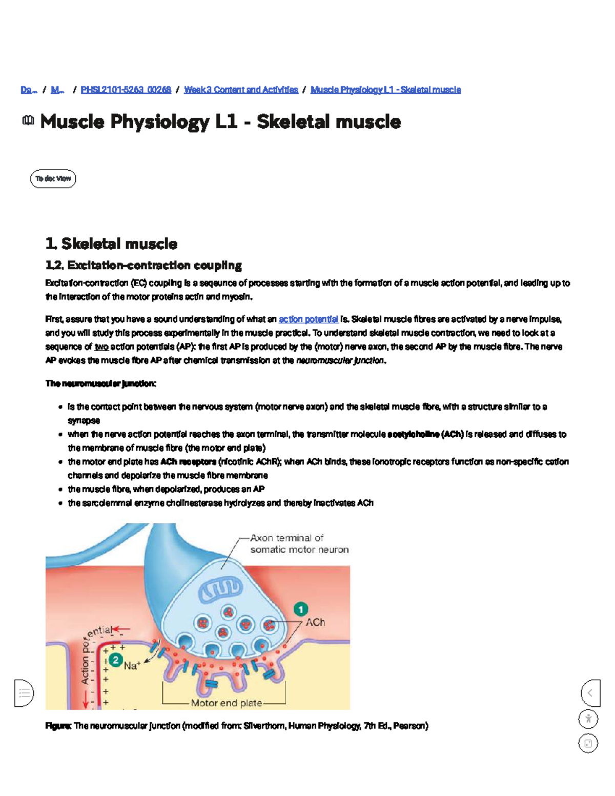 Muscle Physiology L1: Skeletal Muscle Excitation-Contraction Coupling ...