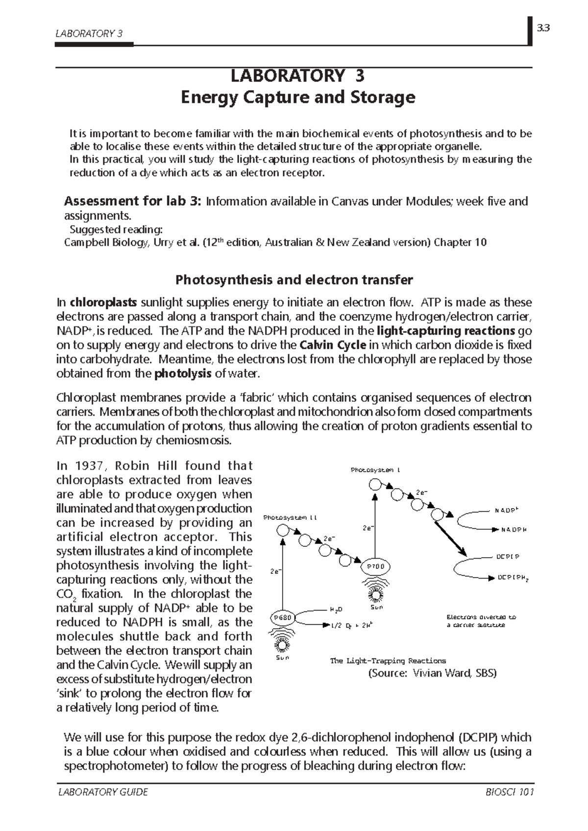 Biosci 101 2025 Lab Manual: Lab 3 - Energy Capture & Storage - Studocu