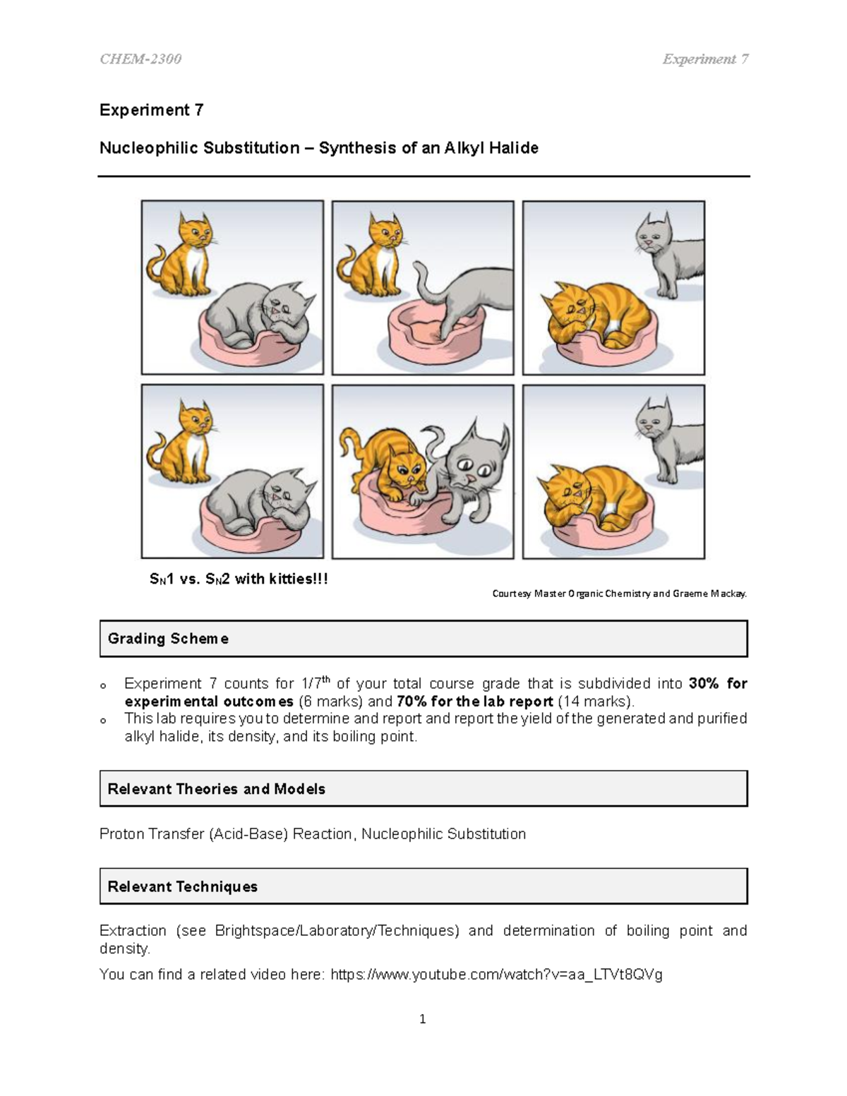 Experiment 7 - Nucleophilic Substitution: Synthesis of Alkyl Halide ...