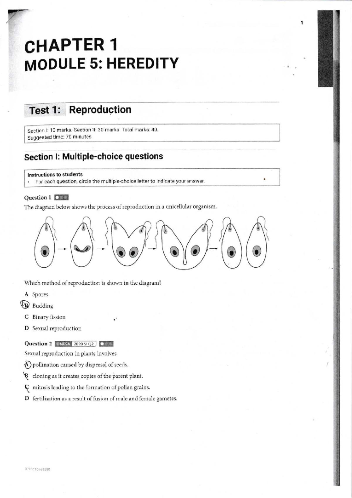 HSC Year 12 Biology Module 5: Heredity Test 1 Practice Exam - Studocu